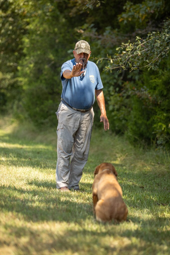 Retriever Training: Correcting Unwanted Movement | Mossy Oak Gamekeeper