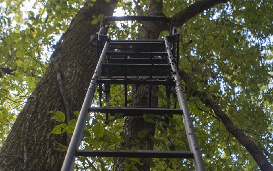 Treestand Safety: Using Common Sense | Mossy Oak Gamekeeper