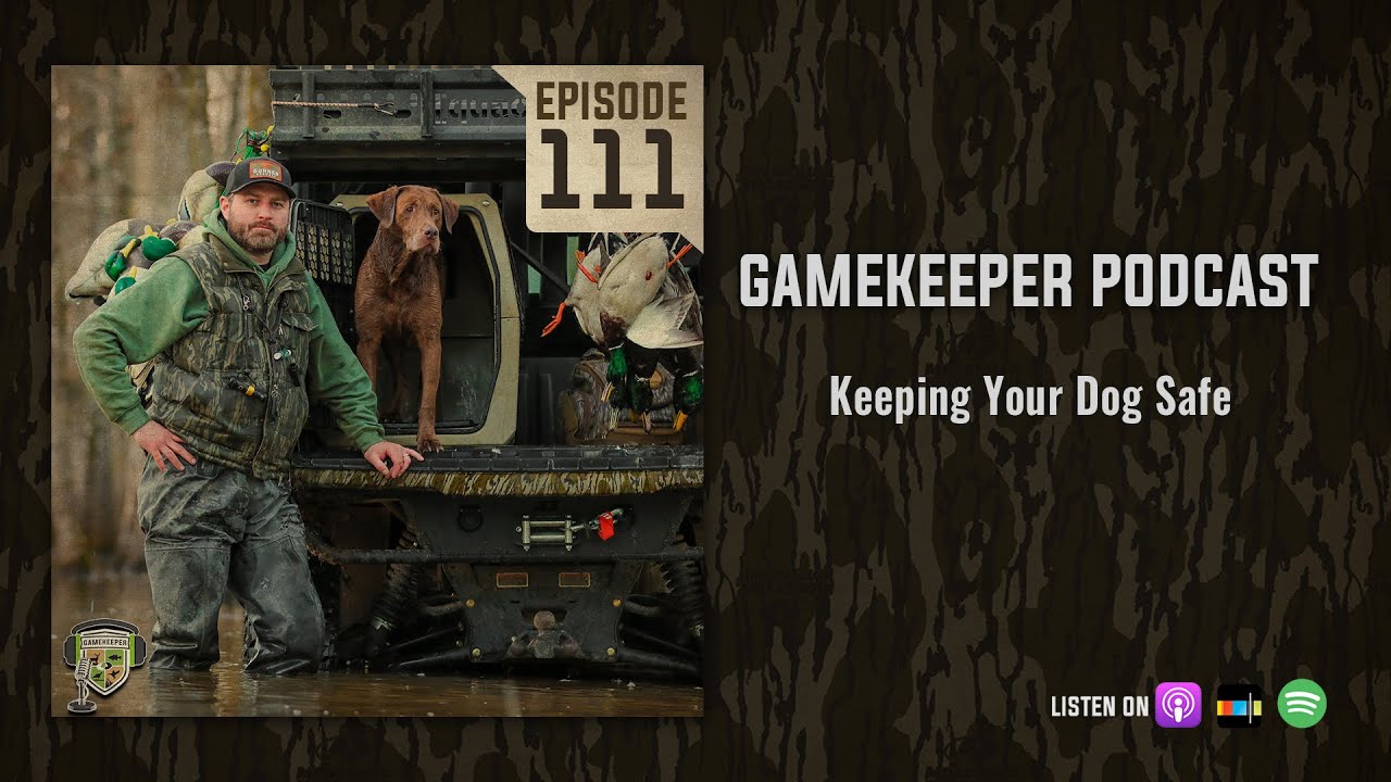 EP:111 | Keeping Your Dog Safe | Mossy Oak Gamekeeper