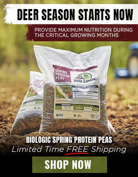 The Best Summer Food Plots for Deer | Mossy Oak Gamekeeper