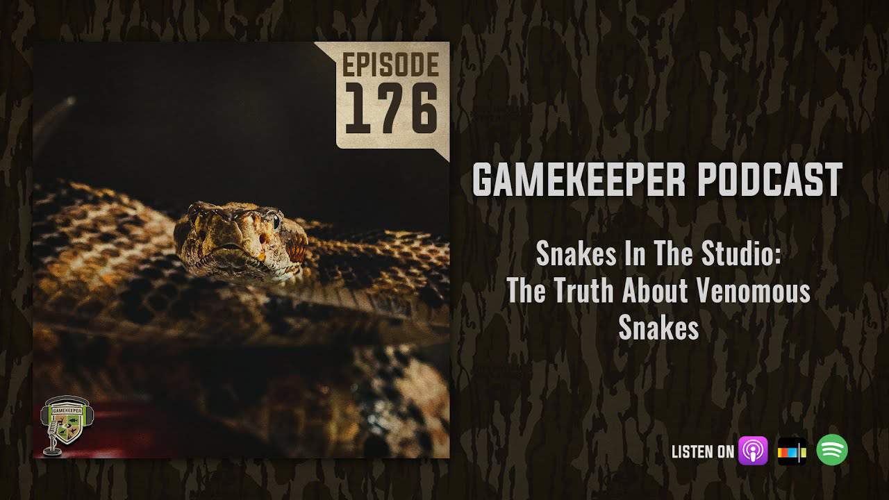 EP:176 | Snakes in the Studio: The Truth About Venomous Snakes | Mossy Oak Gamekeeper