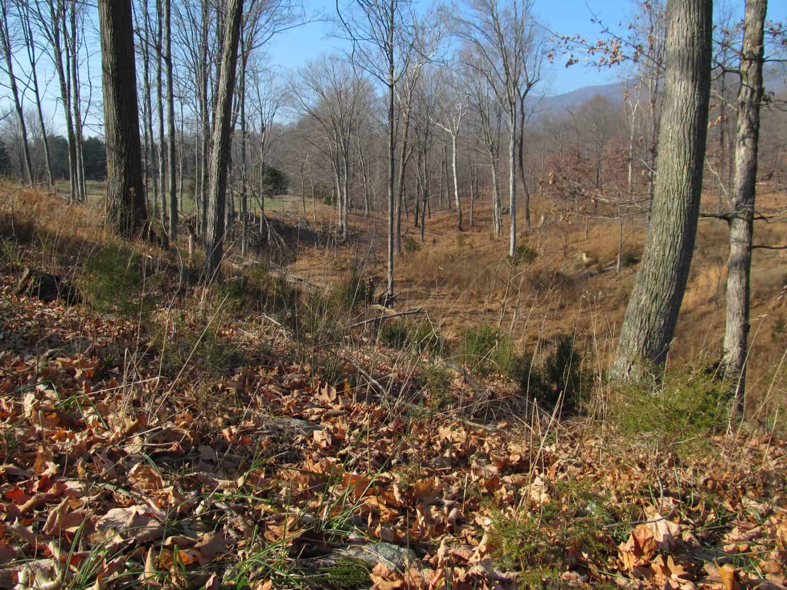 Hunting Funnels During The Rut | Mossy Oak Gamekeeper