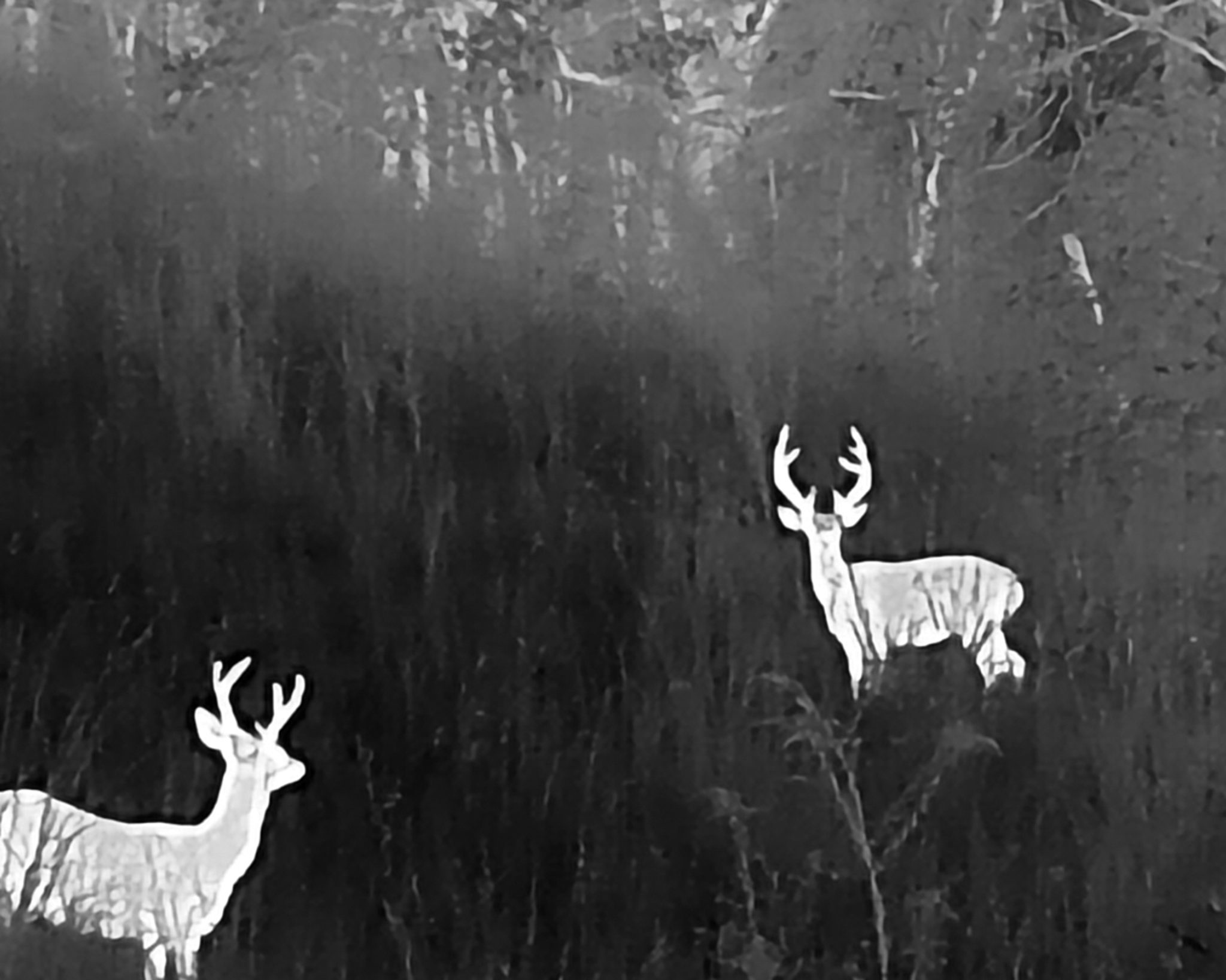 Night Vision Drones & The Future of Hunting | Mossy Oak Gamekeeper