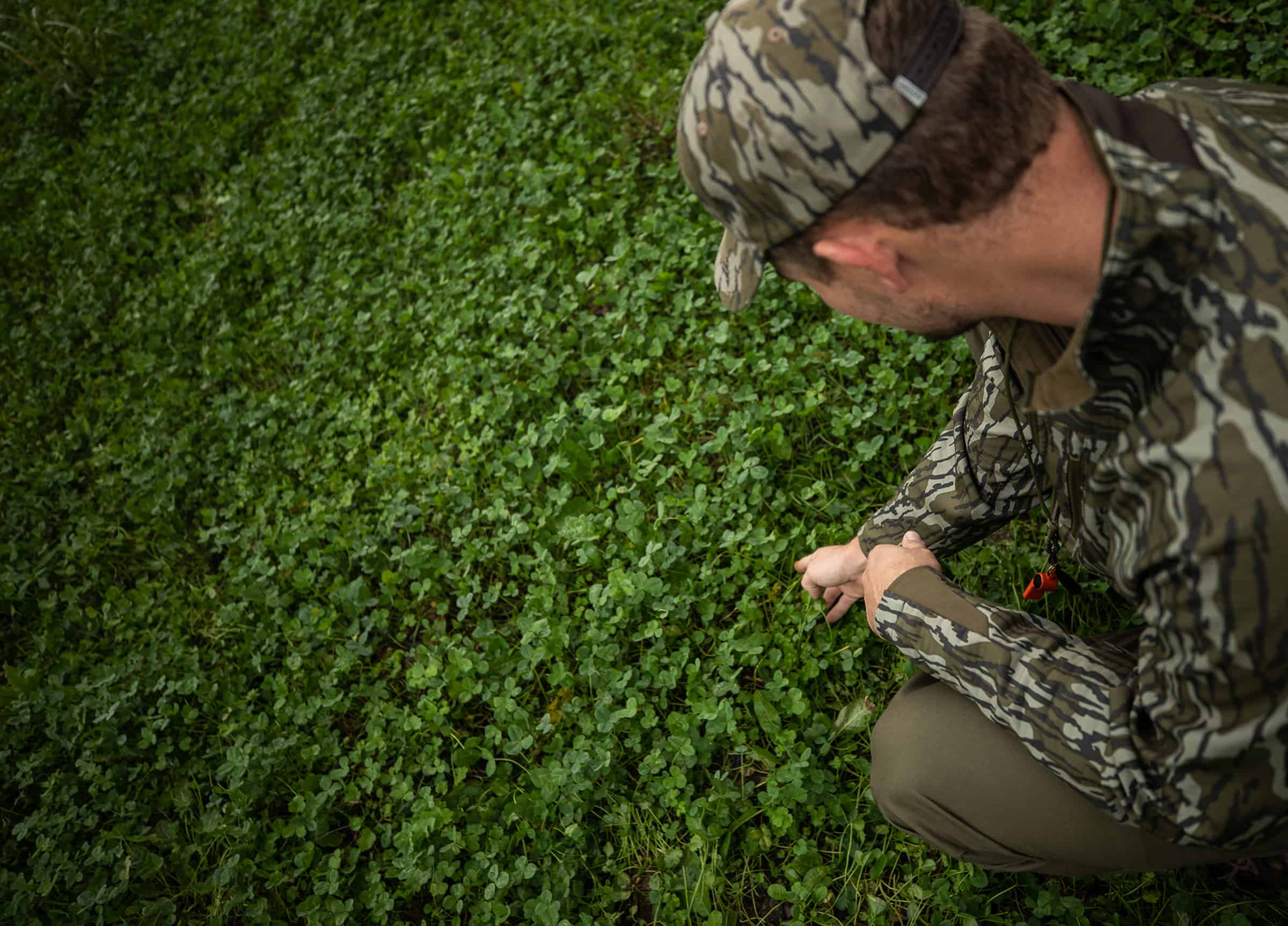 Clover Food Plots, North vs. South | Mossy Oak Gamekeeper